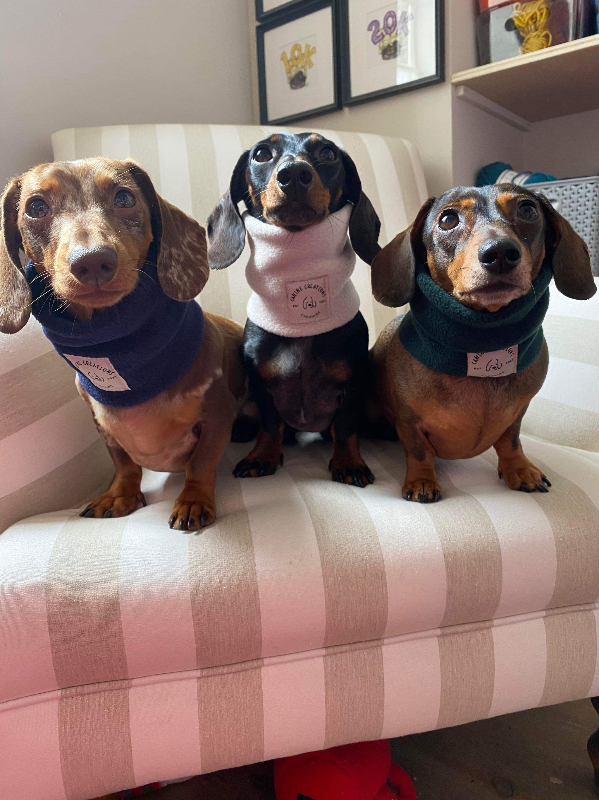 Fleece Snood – Canine Creations Cheshire